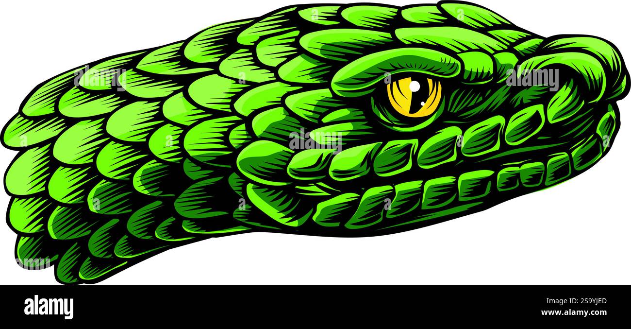 Snake Head Woodcut Vintage Etched Woodcut Style Stock Vector Image ...