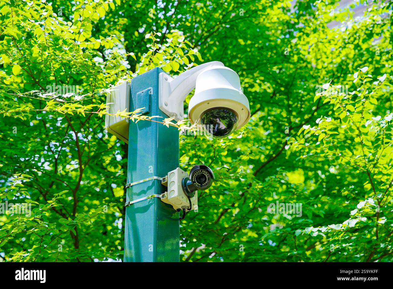 Security camera in park Stock Photo - Alamy