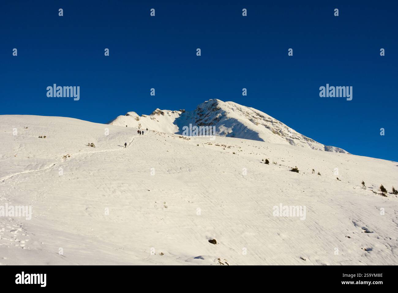 Winter view of the mount Pizzo Arera (Its peak is 2,512 metres - 8,241 ...
