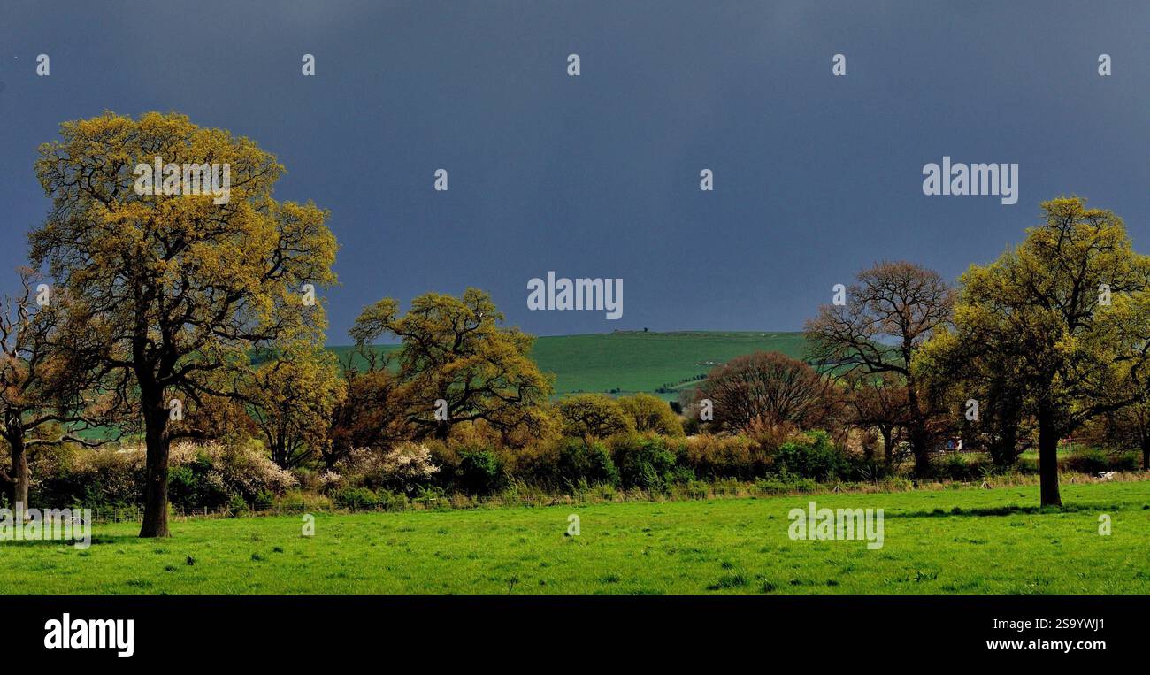 Dark sky and colourful trees near Swindon, Wiltshire, highlighted by ...