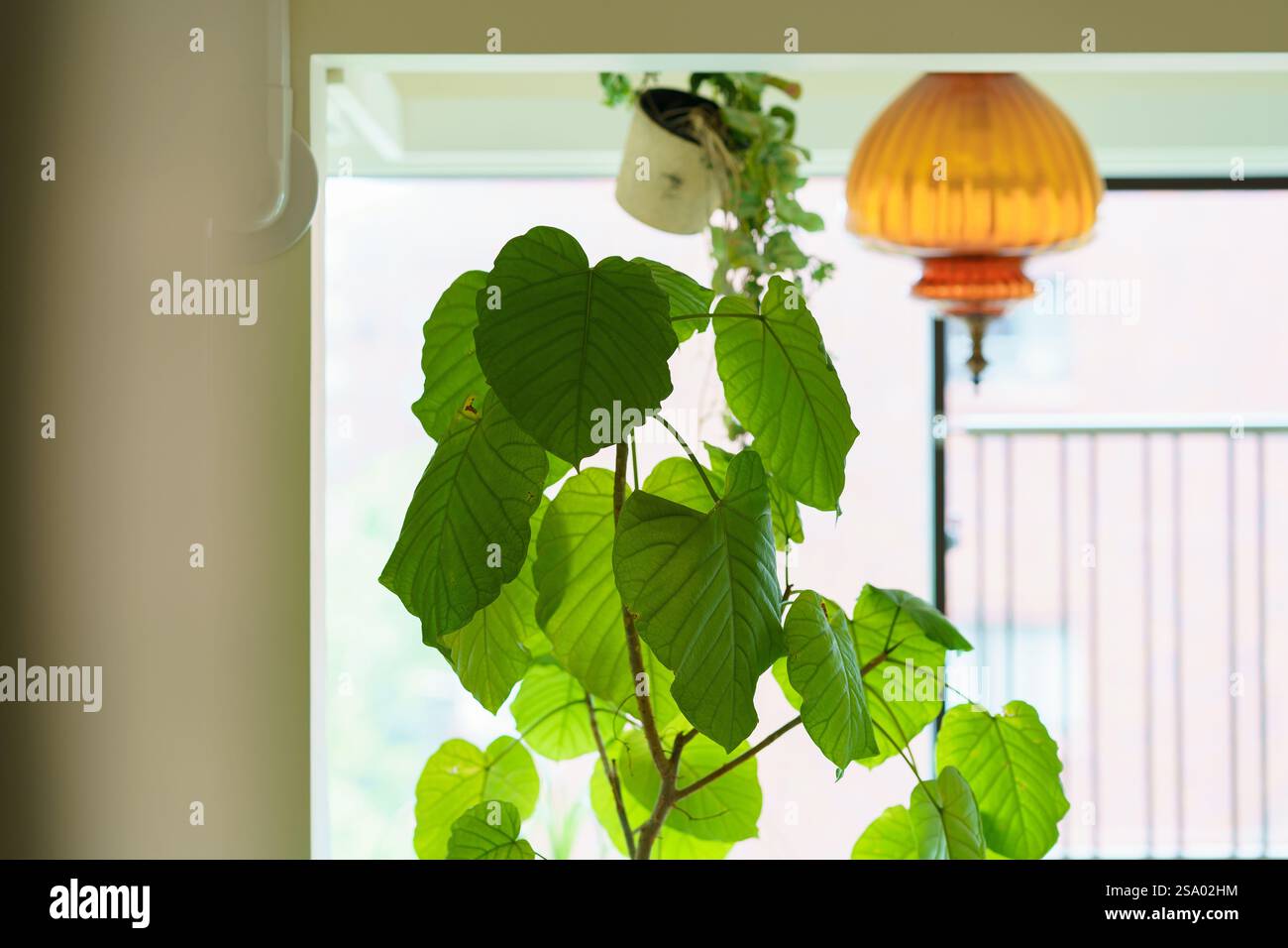 Interior with greenery Stock Photo - Alamy
