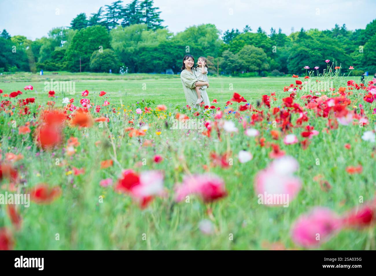 Parents and children strolling through flower garden Stock Photo - Alamy