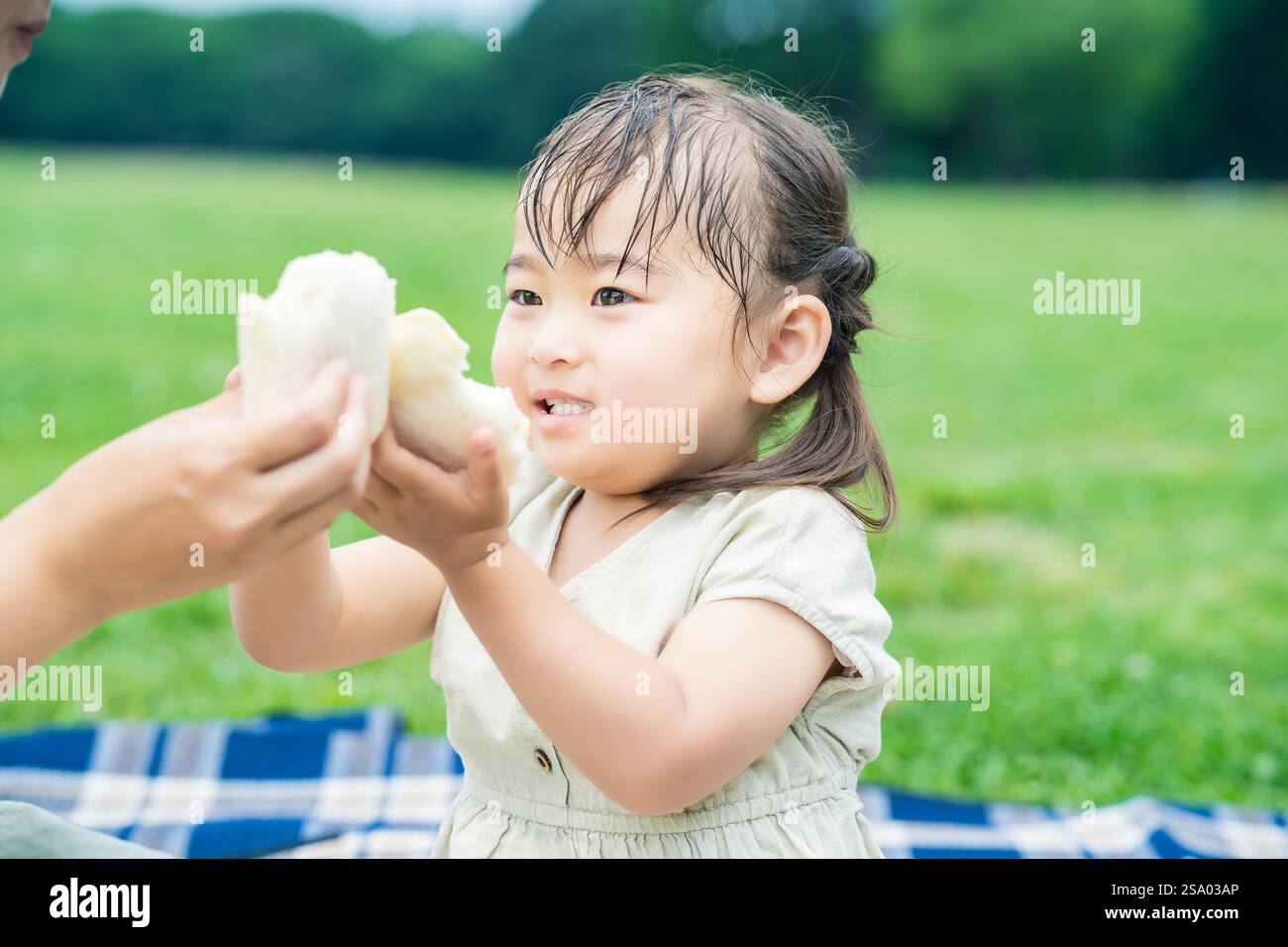 Parents and children eating sandwiches in the park Stock Photo - Alamy