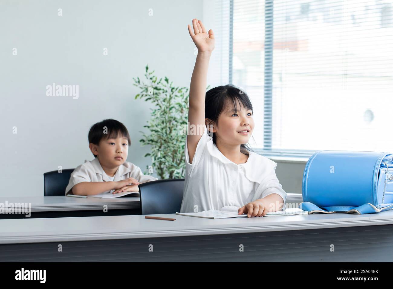Primary schools students studying in a classroom Stock Photo - Alamy