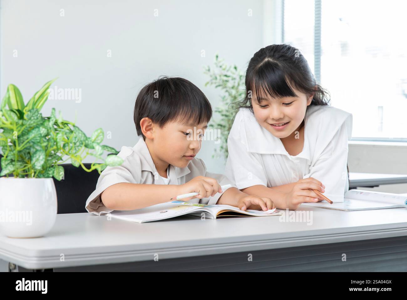 Primary schools student doing homework Stock Photo - Alamy