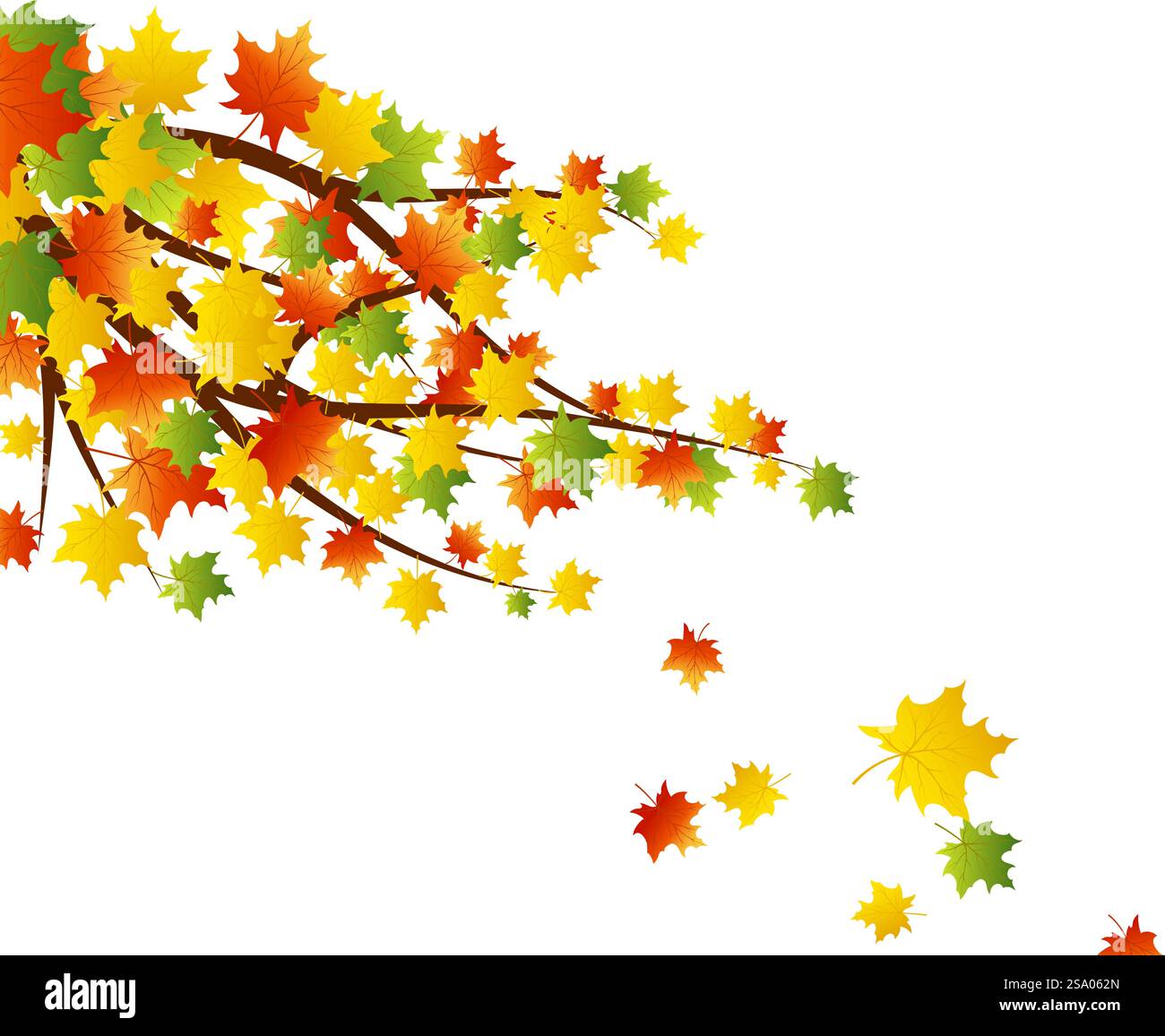 Autumn maples falling leaves background. Vector illustration Stock ...