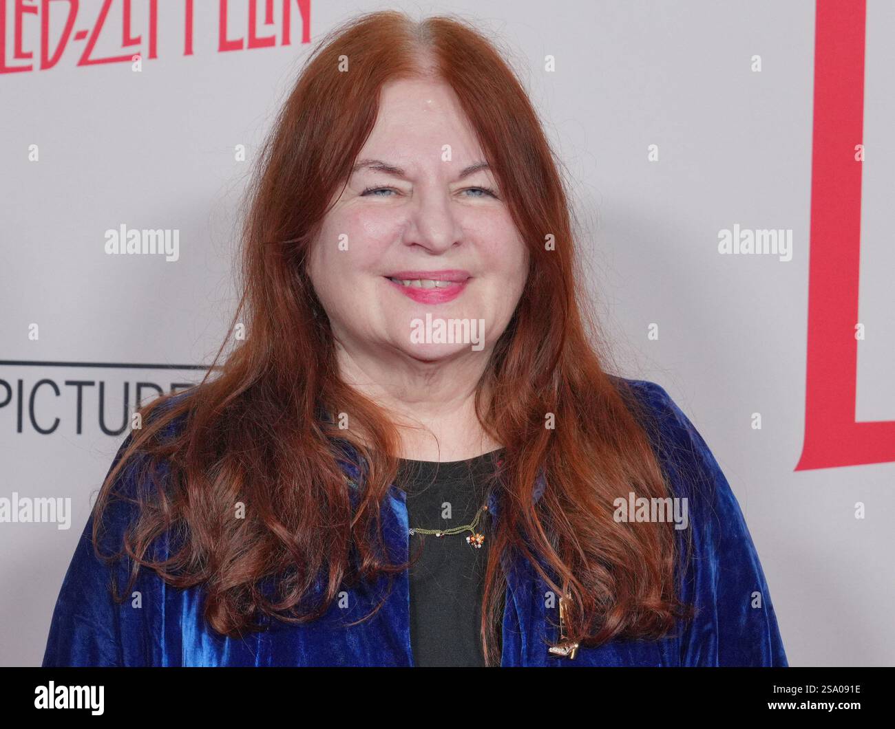Allison Anders arrives at the BECOMING LED ZEPPELIN Los Angeles ...