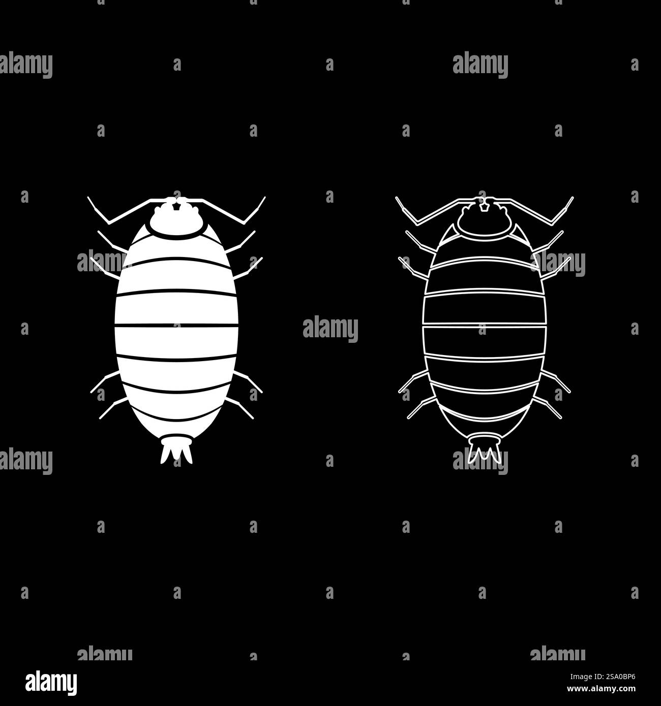 Roly poly woodlouse porcellio scaber woodruff set icon white color ...