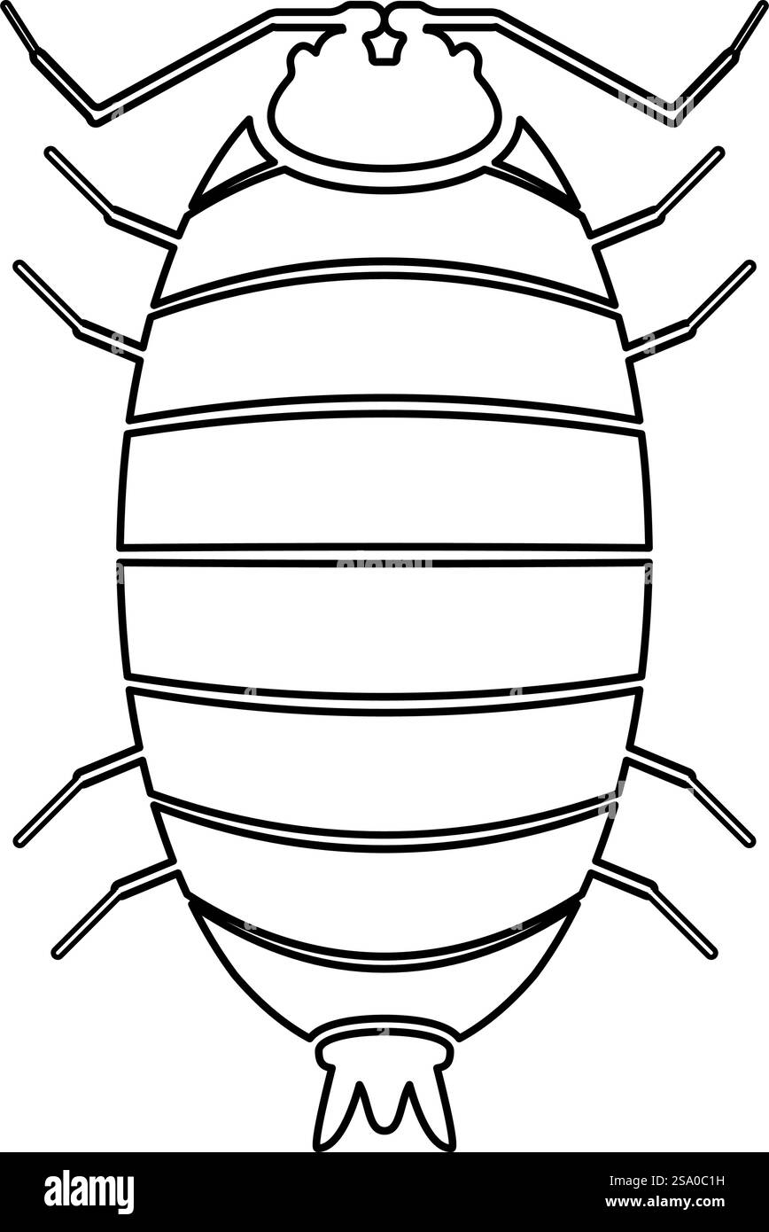 Roly poly woodlouse porcellio scaber woodruff contour outline line icon ...