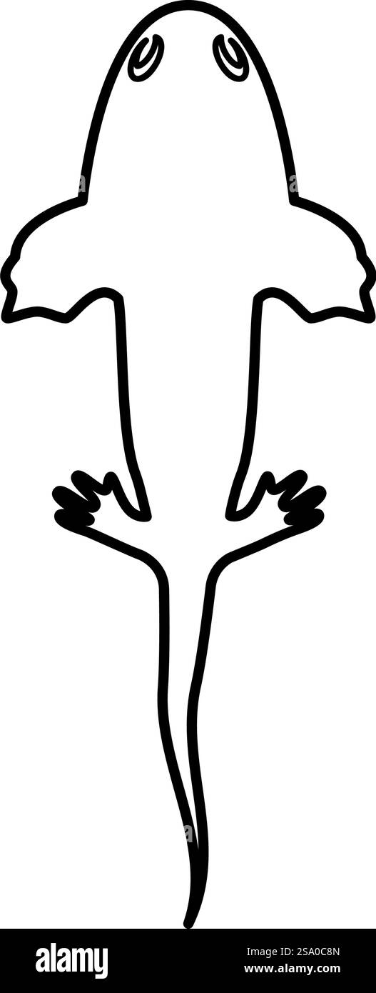 Axolotl ambystoma mexicanum overhead view contour outline line icon ...