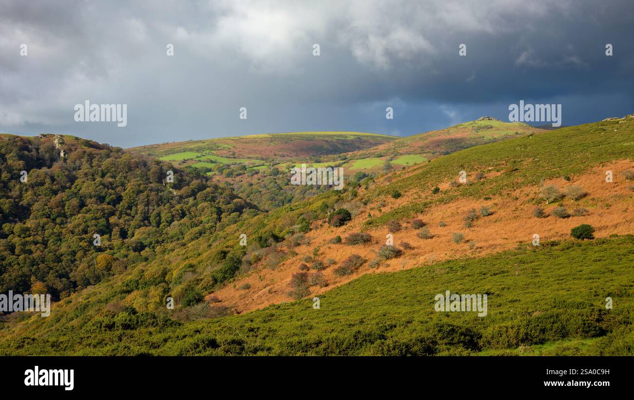 Bench Tor, Yar Tor Down and Sharp Tor above the Dart Valley from Aish ...