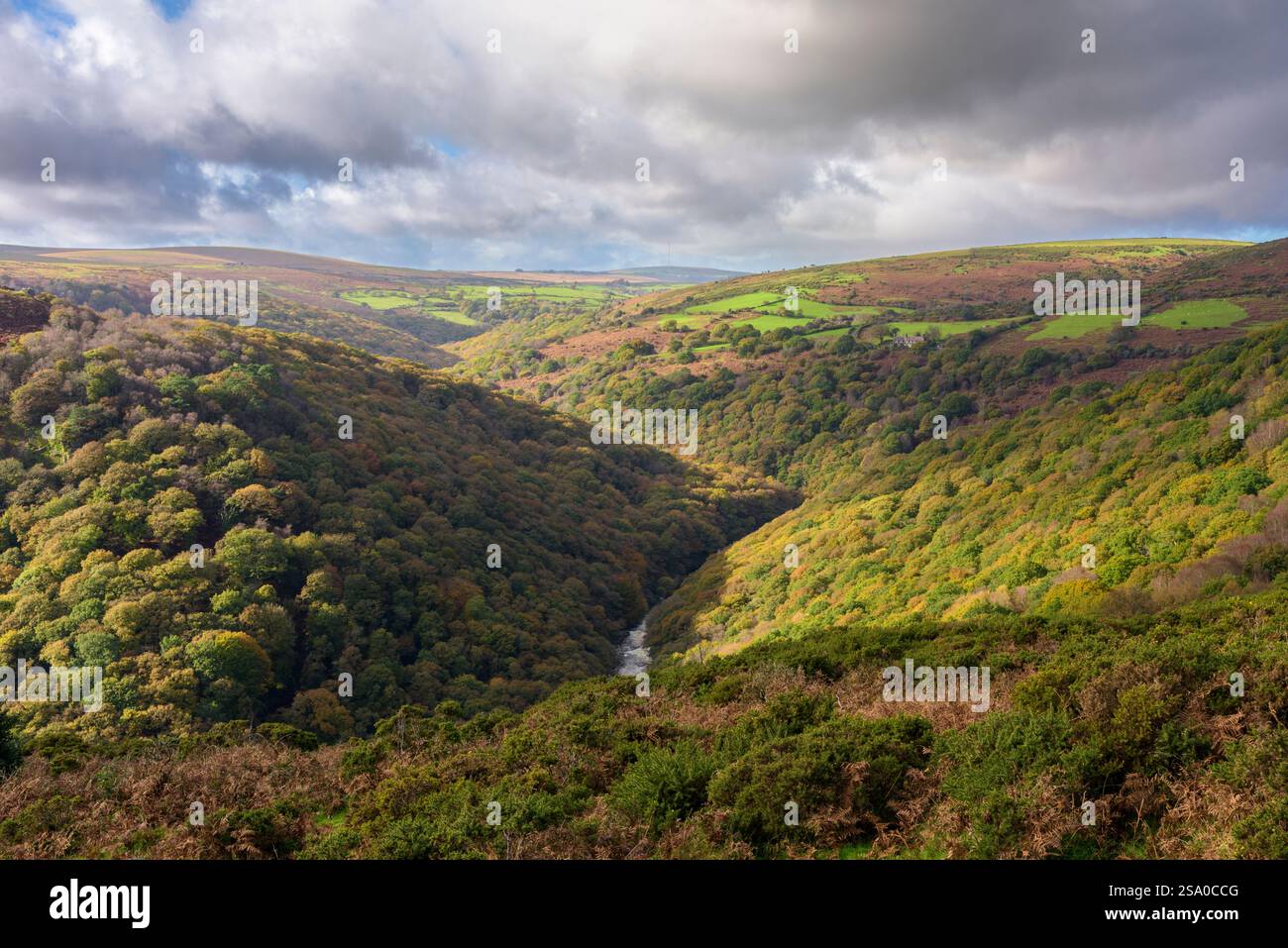 Autumn colour on the slopes of the Dart Valley below Mel Tor from the ...