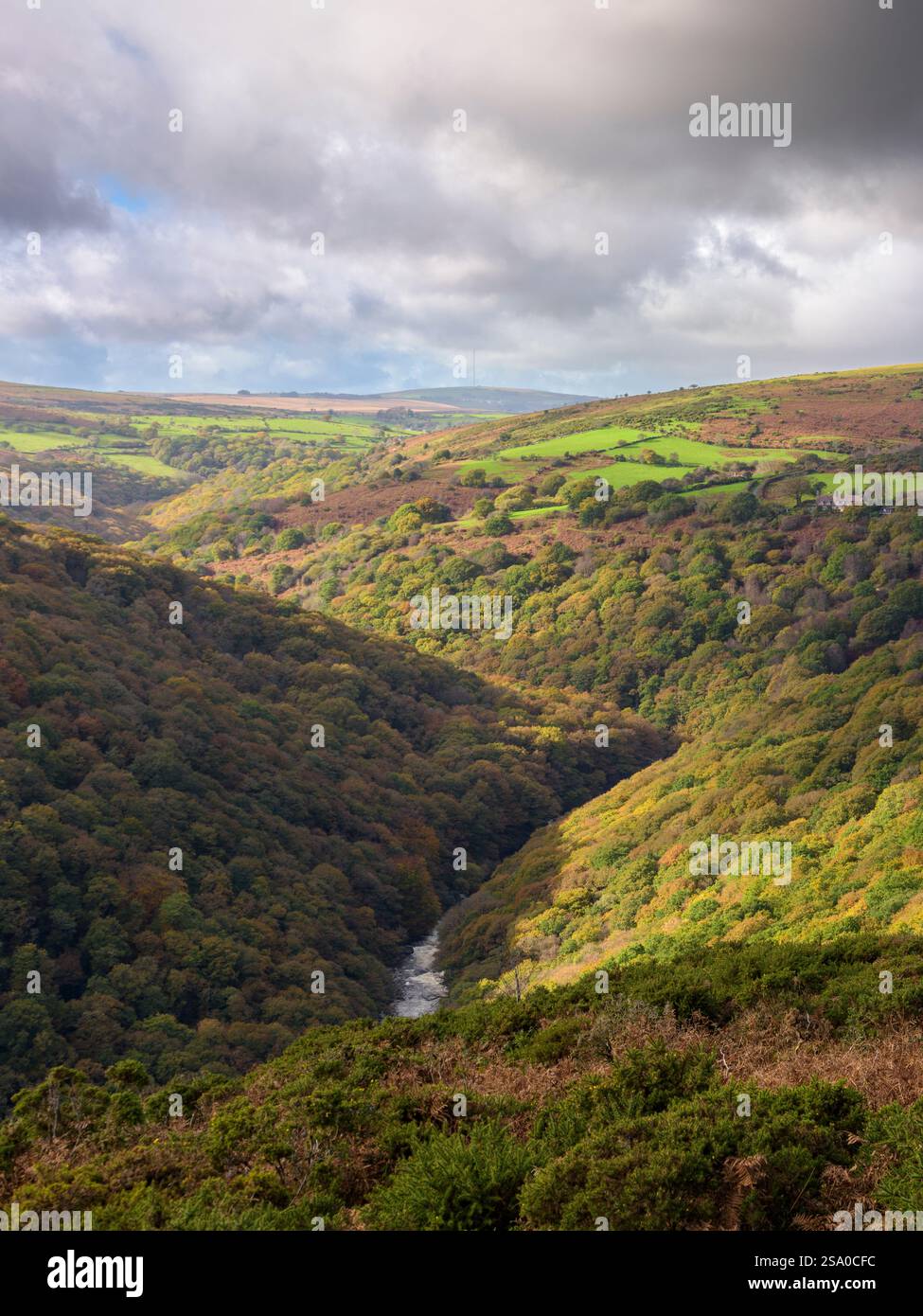 Autumn colour on the slopes of the Dart Valley below Mel Tor from the ...