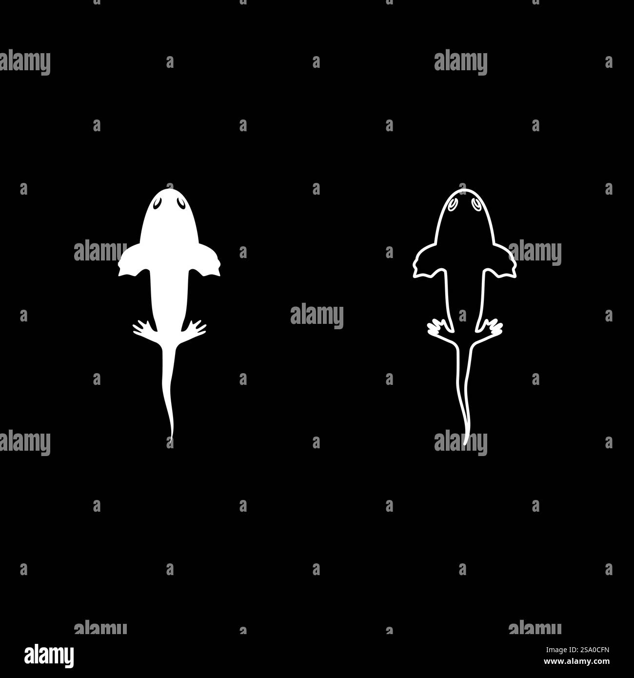 Axolotl ambystoma mexicanum overhead view set icon white color vector ...