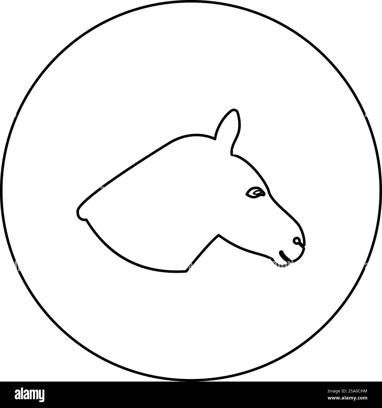 Donkey head silhouette icon in circle round black color vector ...