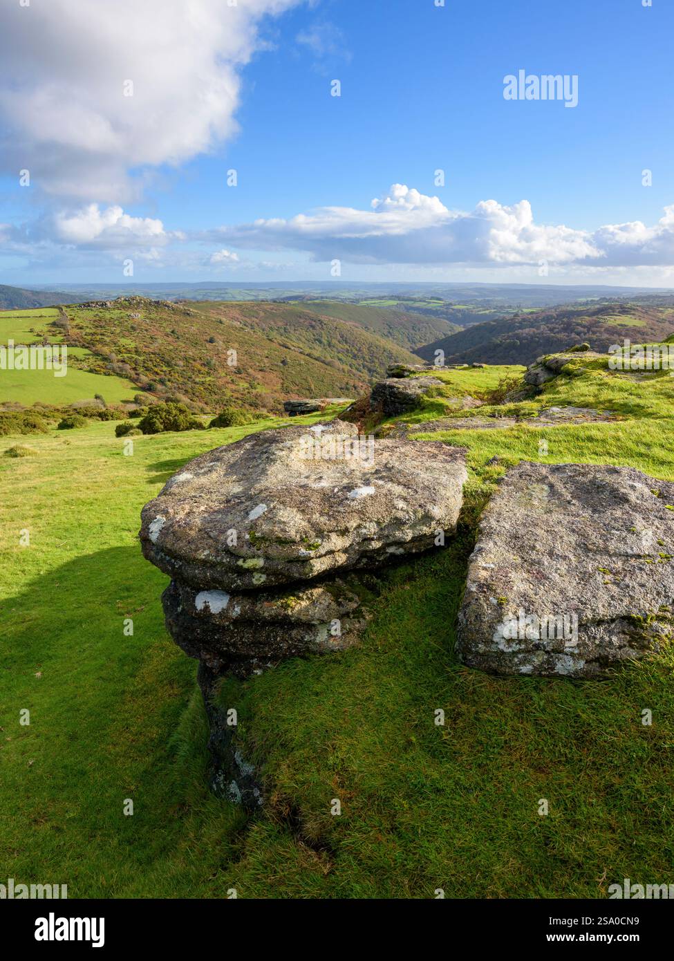The granite rocks of Sharp Tor with the Dart Valley beyond in Dartmoor ...