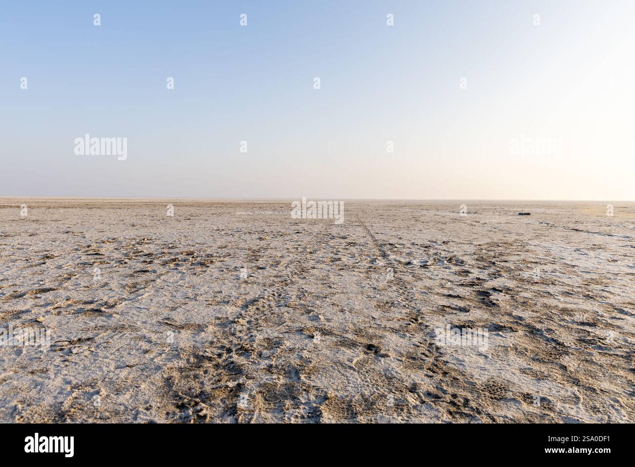 white salt flats desert with vehicle tire tracks leading line and ...