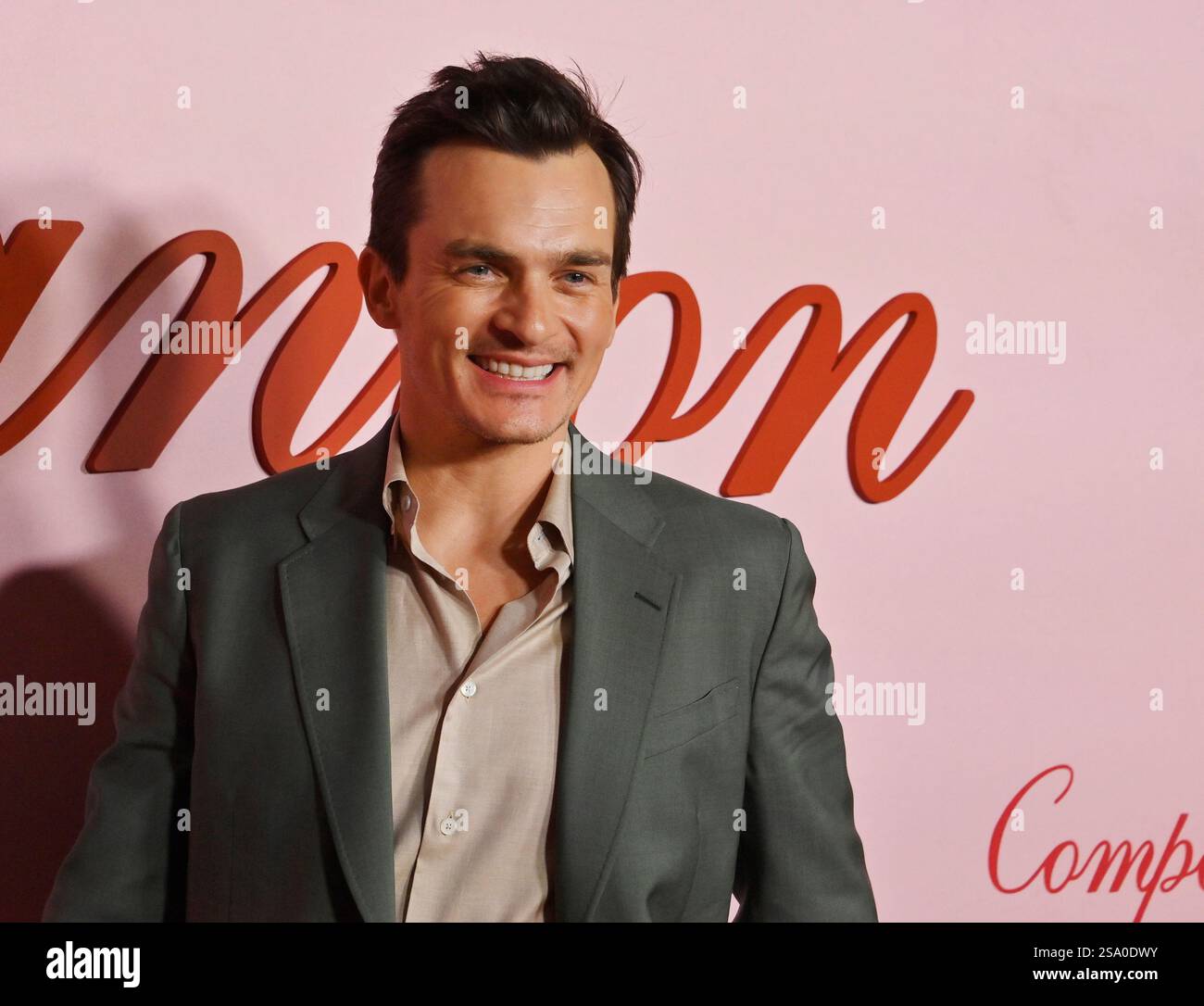 Cast member Rupert Friend attends the premiere of the motion picture ...