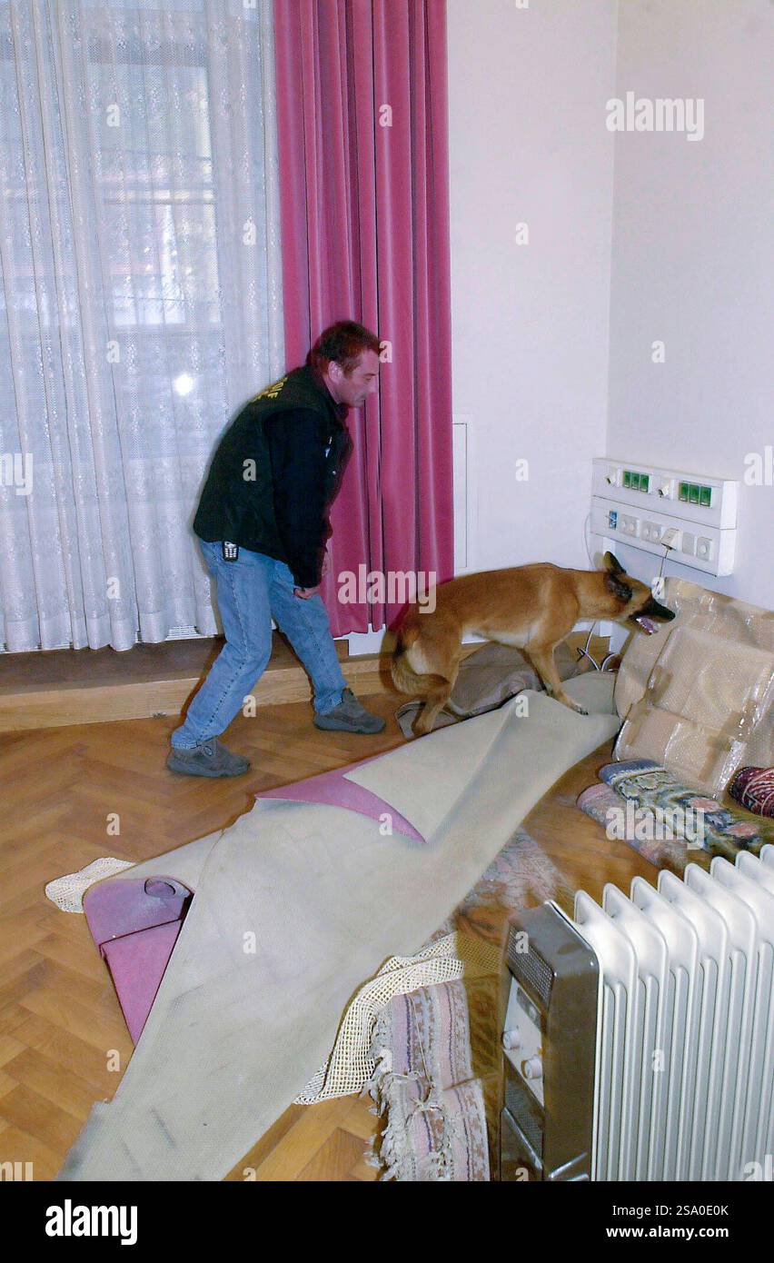 police dog, special trained dog to assist the police, also known as K-9 ...