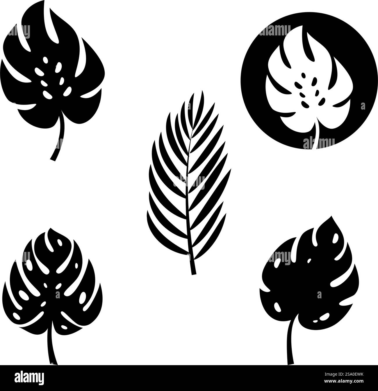 Monstera leaf illustration vector design Stock Vector Image & Art - Alamy