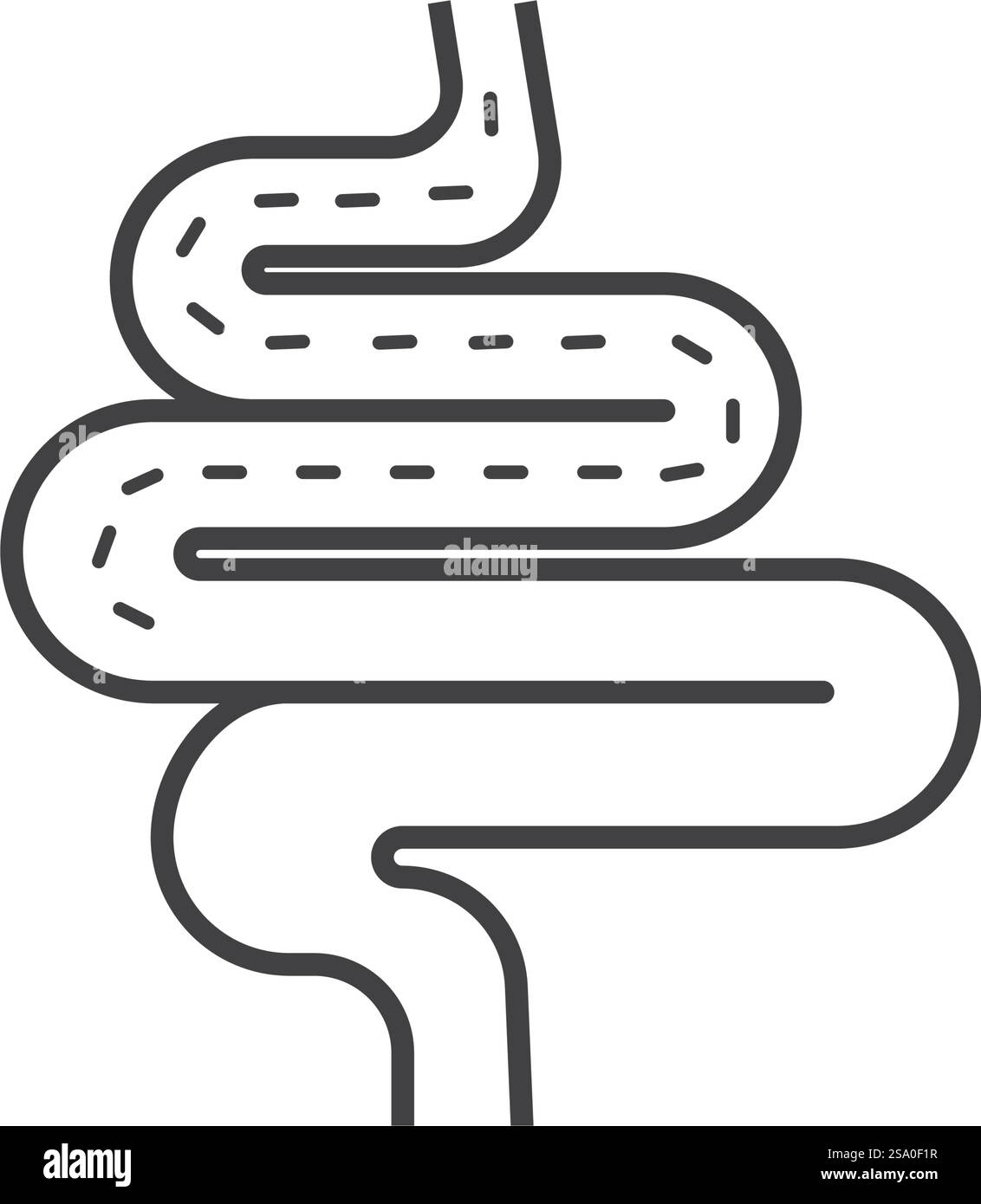 Intestine Colon icon flat design illustration Stock Vector Image & Art ...