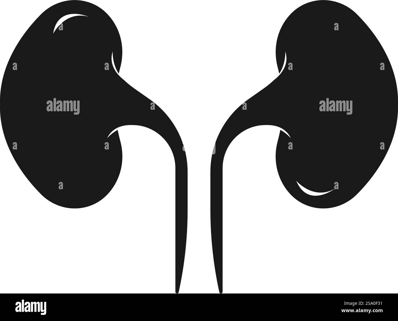 Kidney icon flat design vector Stock Vector Image & Art - Alamy