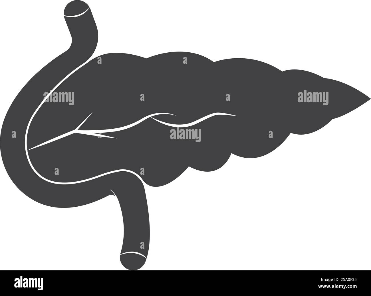 Pancreas icon illustration flat design Stock Vector Image & Art - Alamy