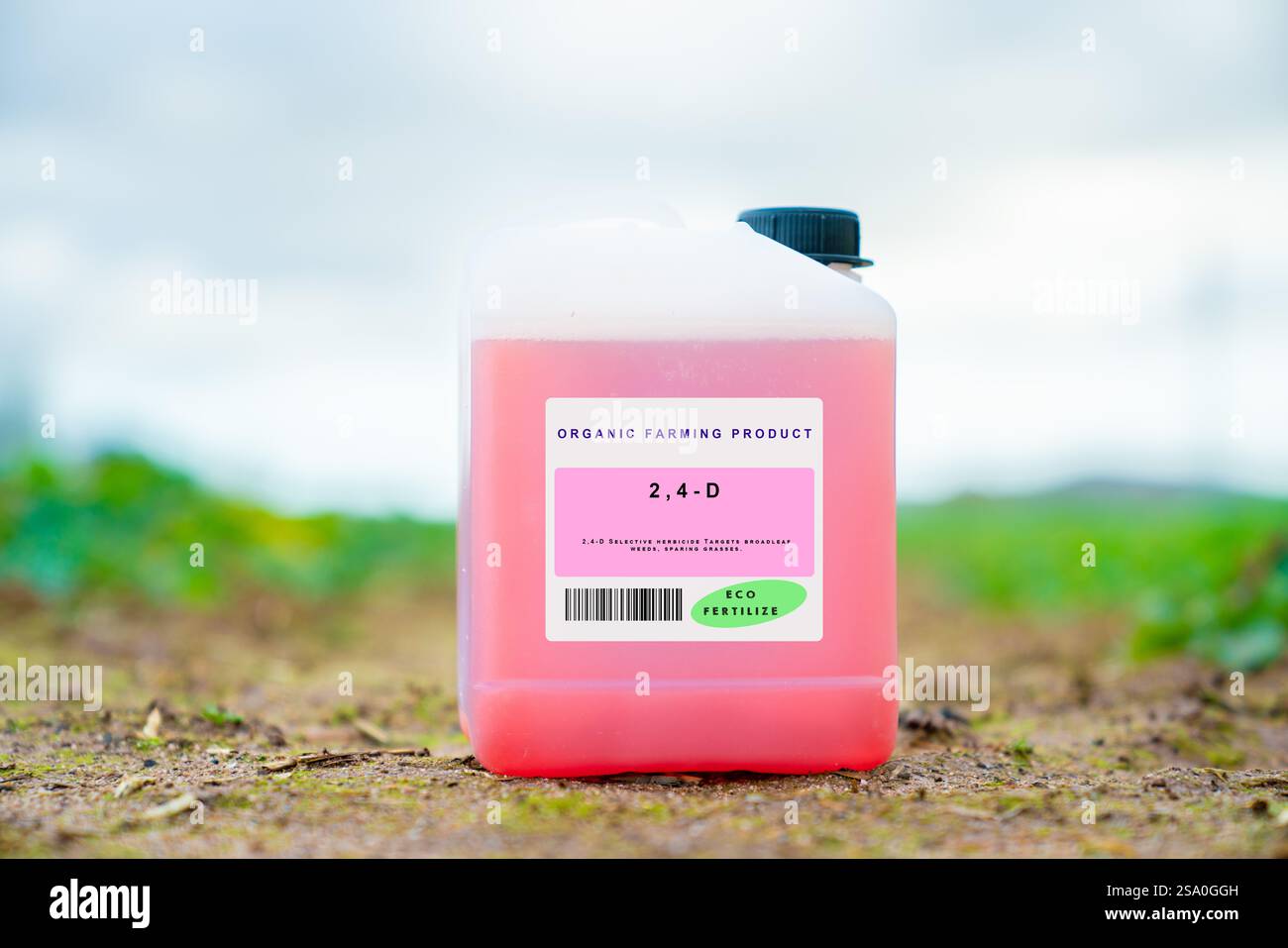 2,4-D Selective herbicide Targets broadleaf weeds, sparing grasses ...