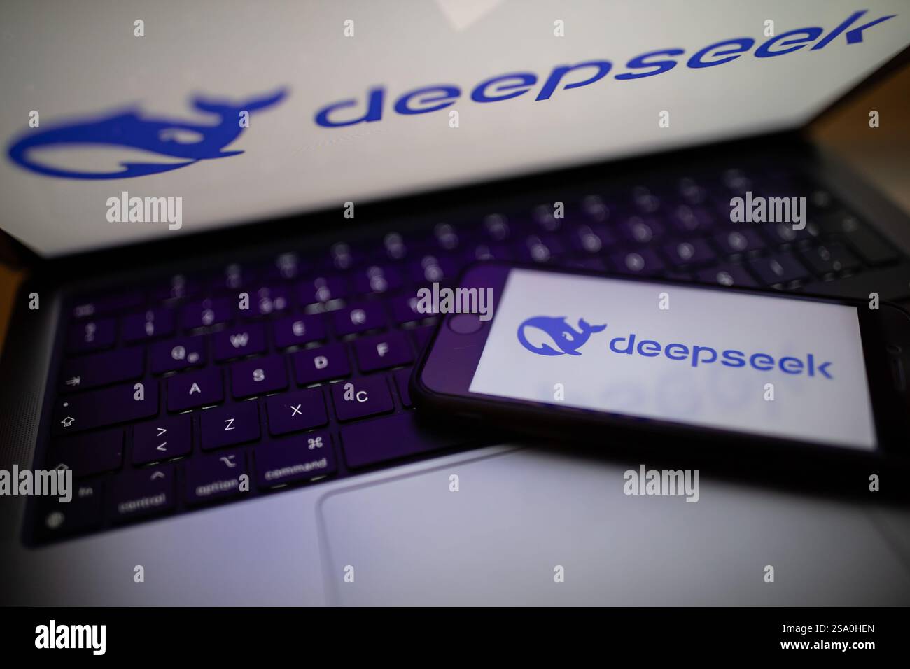In this photo illustration, the DeepSeek logo is seen displayed on a ...