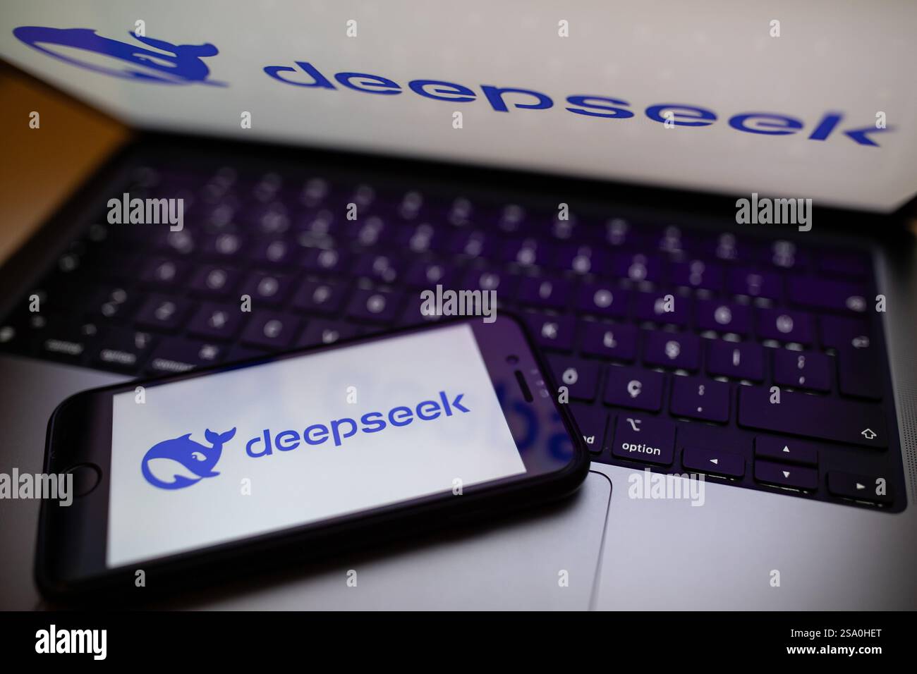 Turkey. 27th Jan, 2025. In this photo illustration, the DeepSeek logo ...