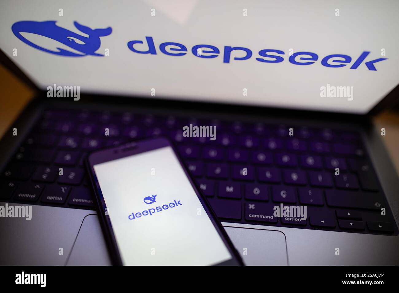 In this photo illustration, the DeepSeek logo is seen displayed on a ...