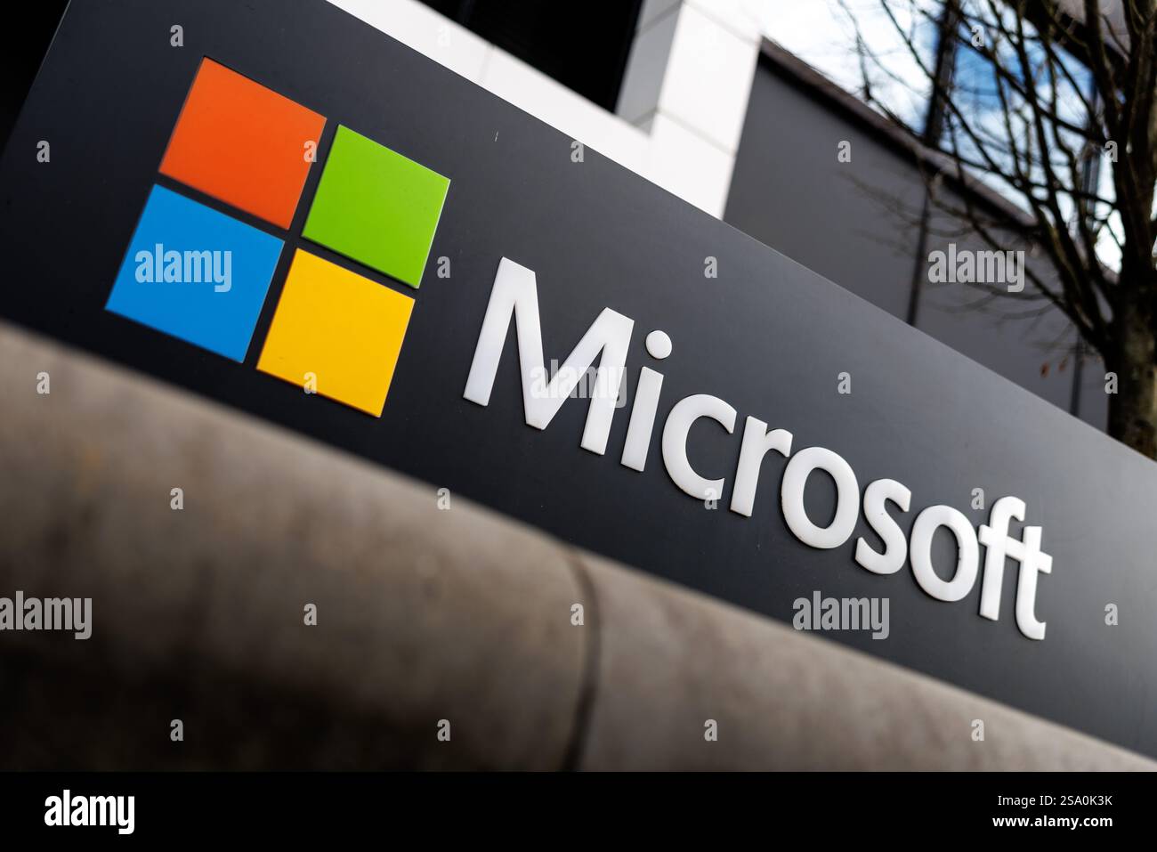 27 January 2025, Bavaria, Munich: The Microsoft logo and lettering can ...