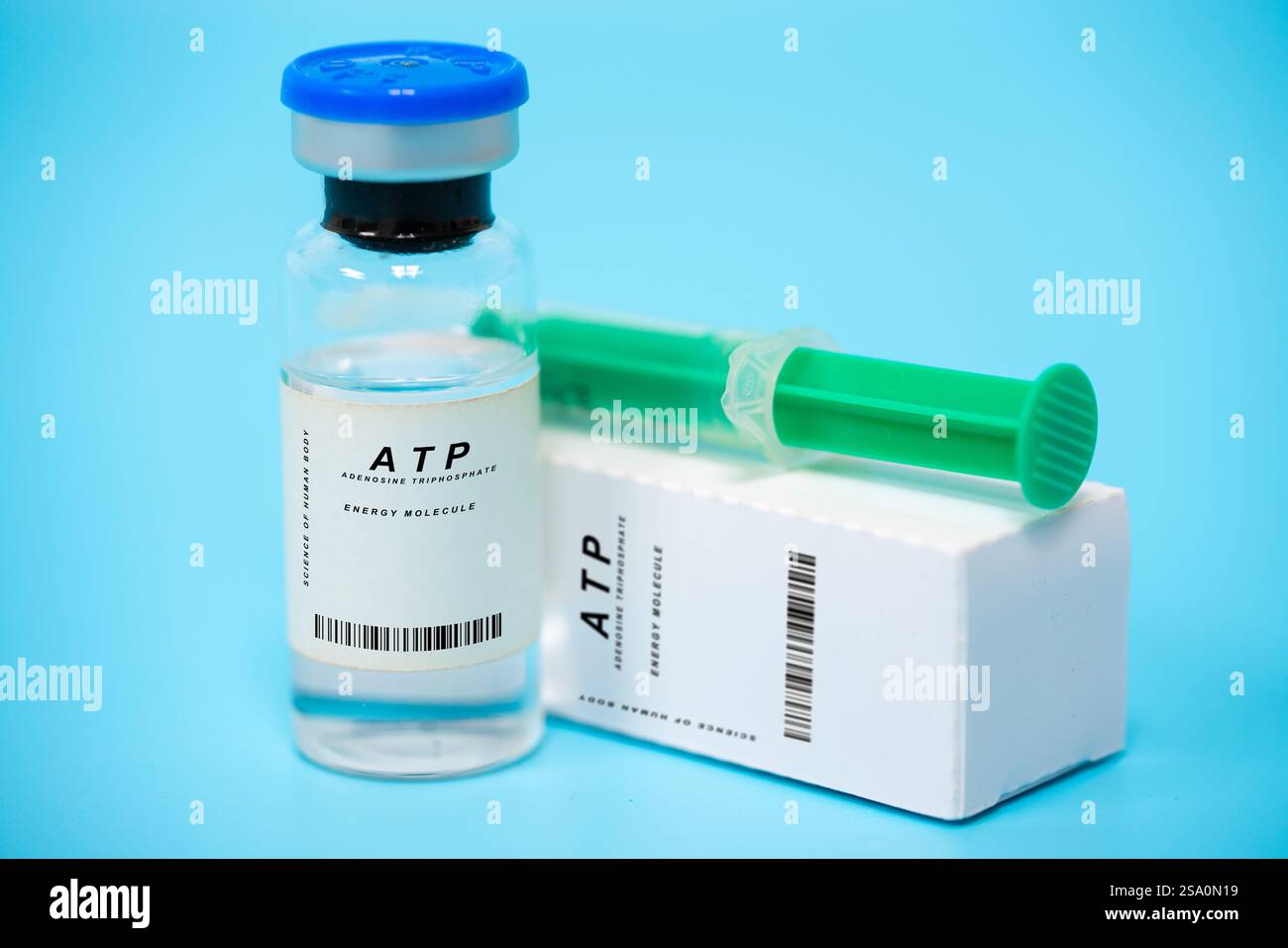 Atp Adenosine Triphosphate Energy Molecule Serves As A