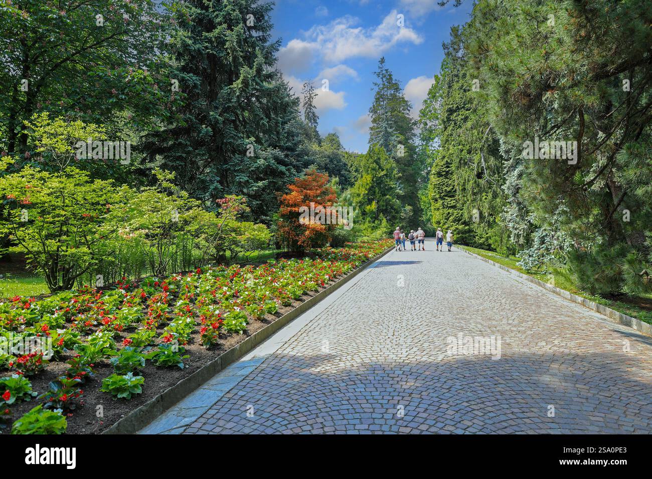 People or visitors walking along a paved area, Botanical Gardens of ...