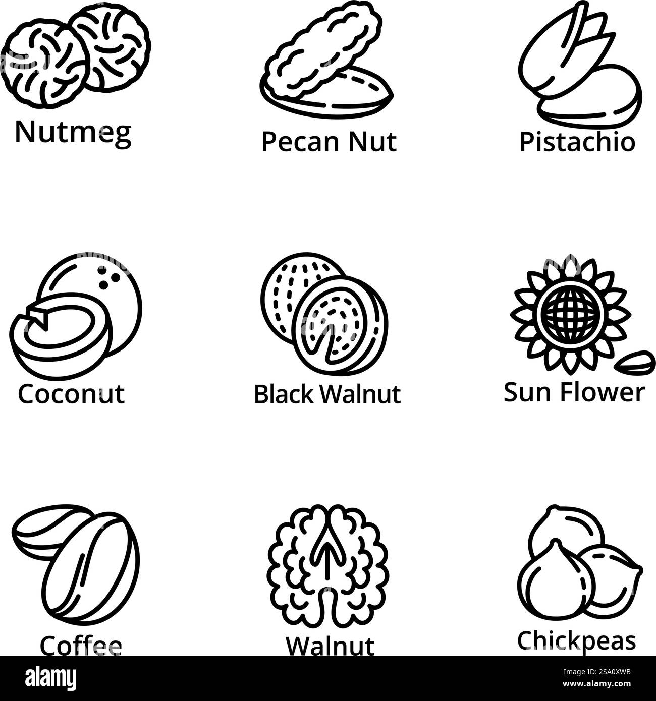 Vegan nuts icon set. Outline set of 9 vegan nuts vector icons for web ...