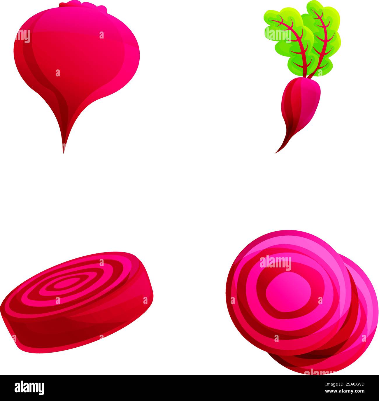 Beet icons set cartoon vector. Whole and chopped beetroot. Organic farm ...