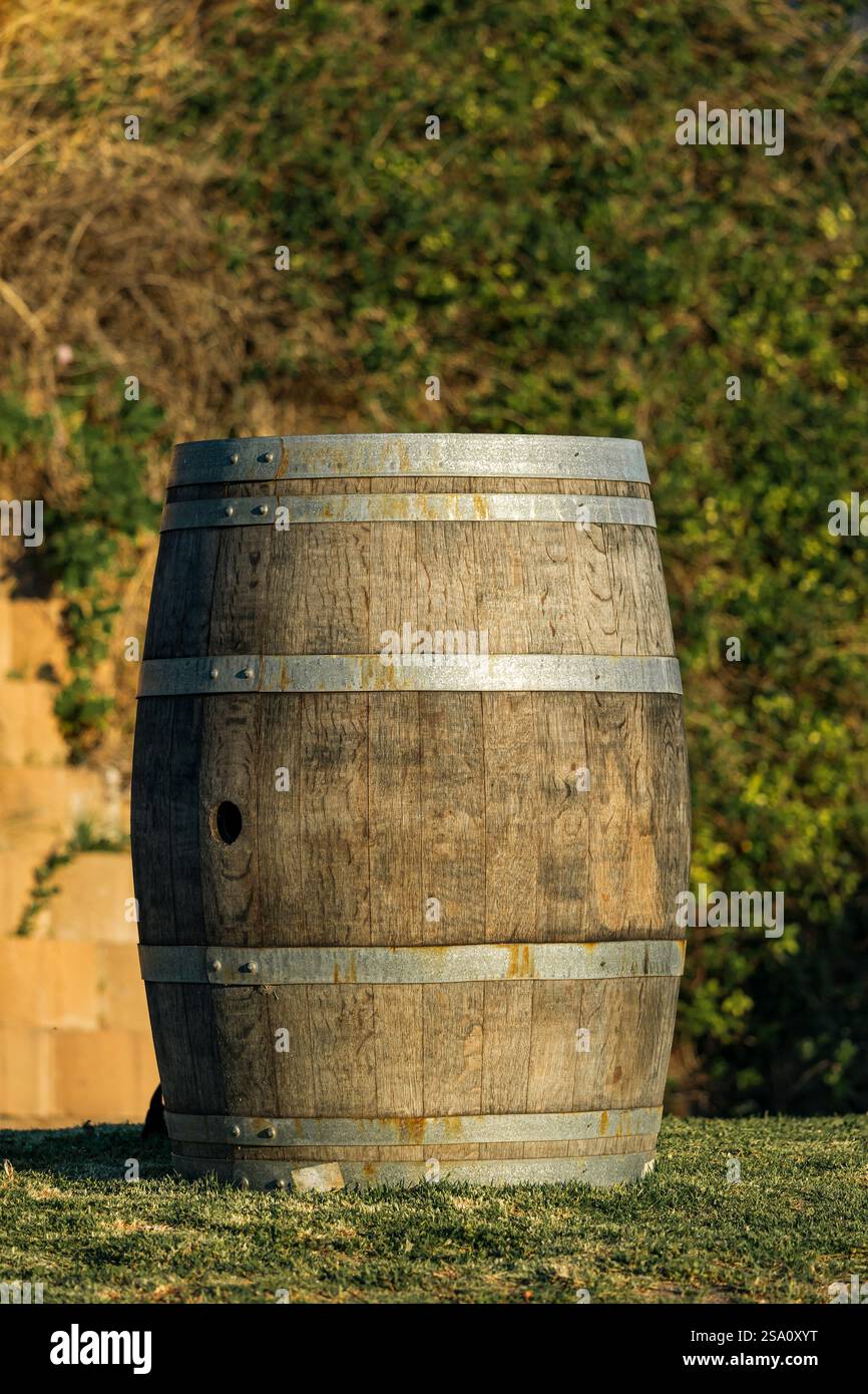 Oak wooden barrel with metal rims for aging wine or other alcoholic ...