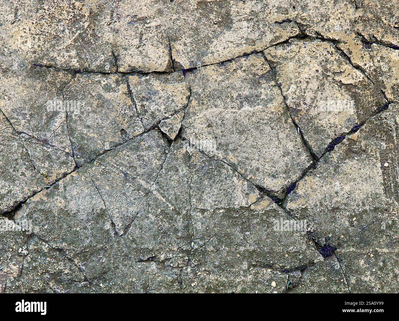 Close-up view of a heavily cracked concrete surface, highlighting the ...