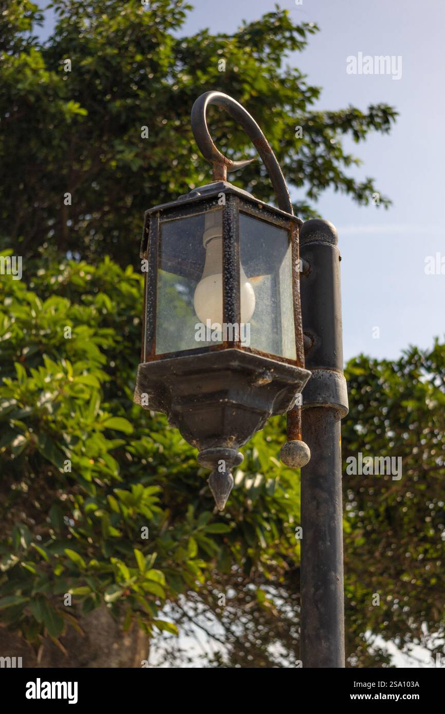 A vintage street lamp stands among the greenery against the sky. The ...
