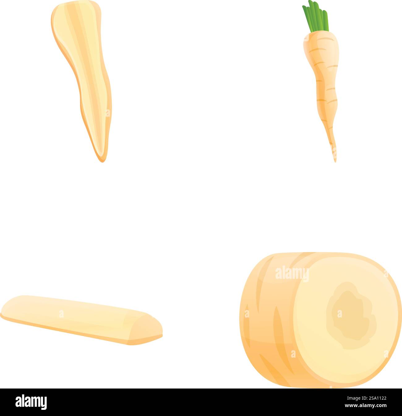 Parsnip root icons set cartoon vector. Fresh organic parsnip. Farm ...