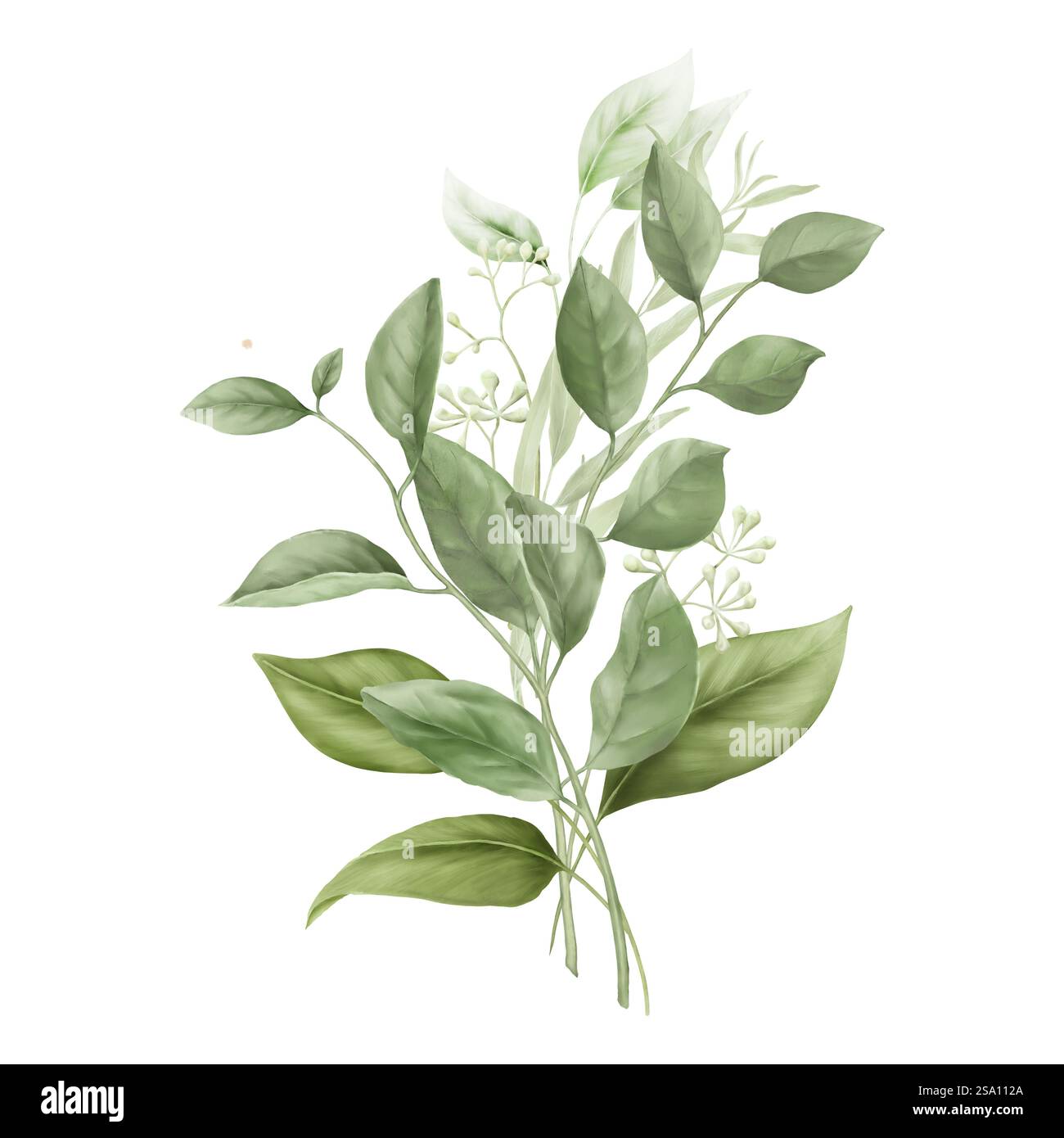 Green twigs with graceful leaves in a bouquet. watercolor digital ...