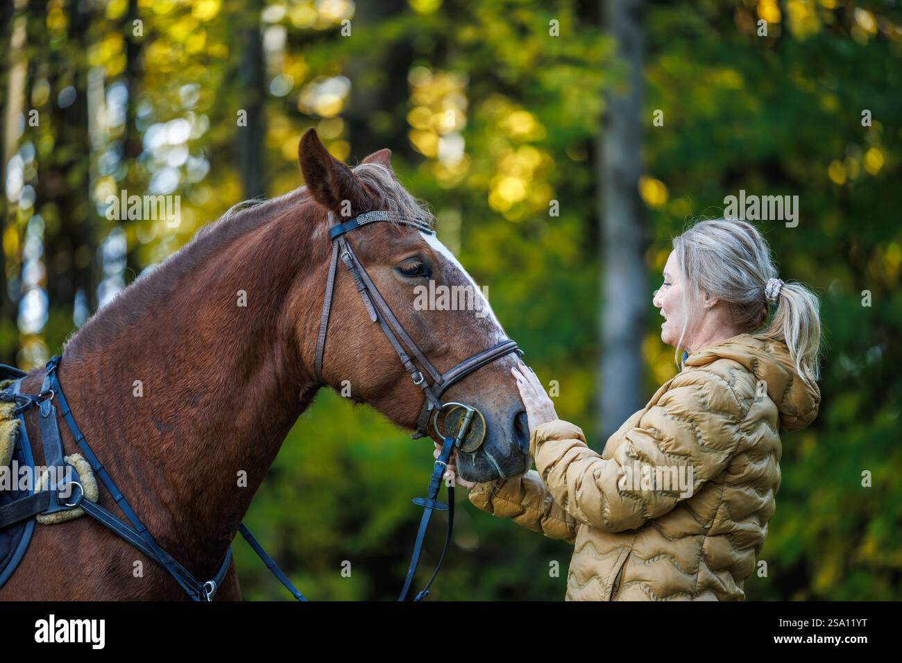Equine therapy in nature. Woman stroking horse and build a bond of ...