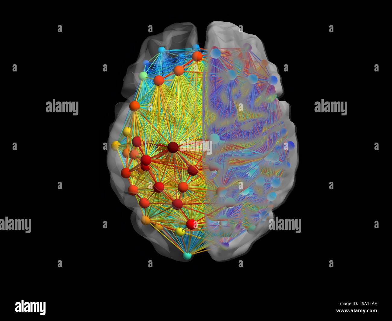 Illustration of the neurological connections in the brain controlling ...