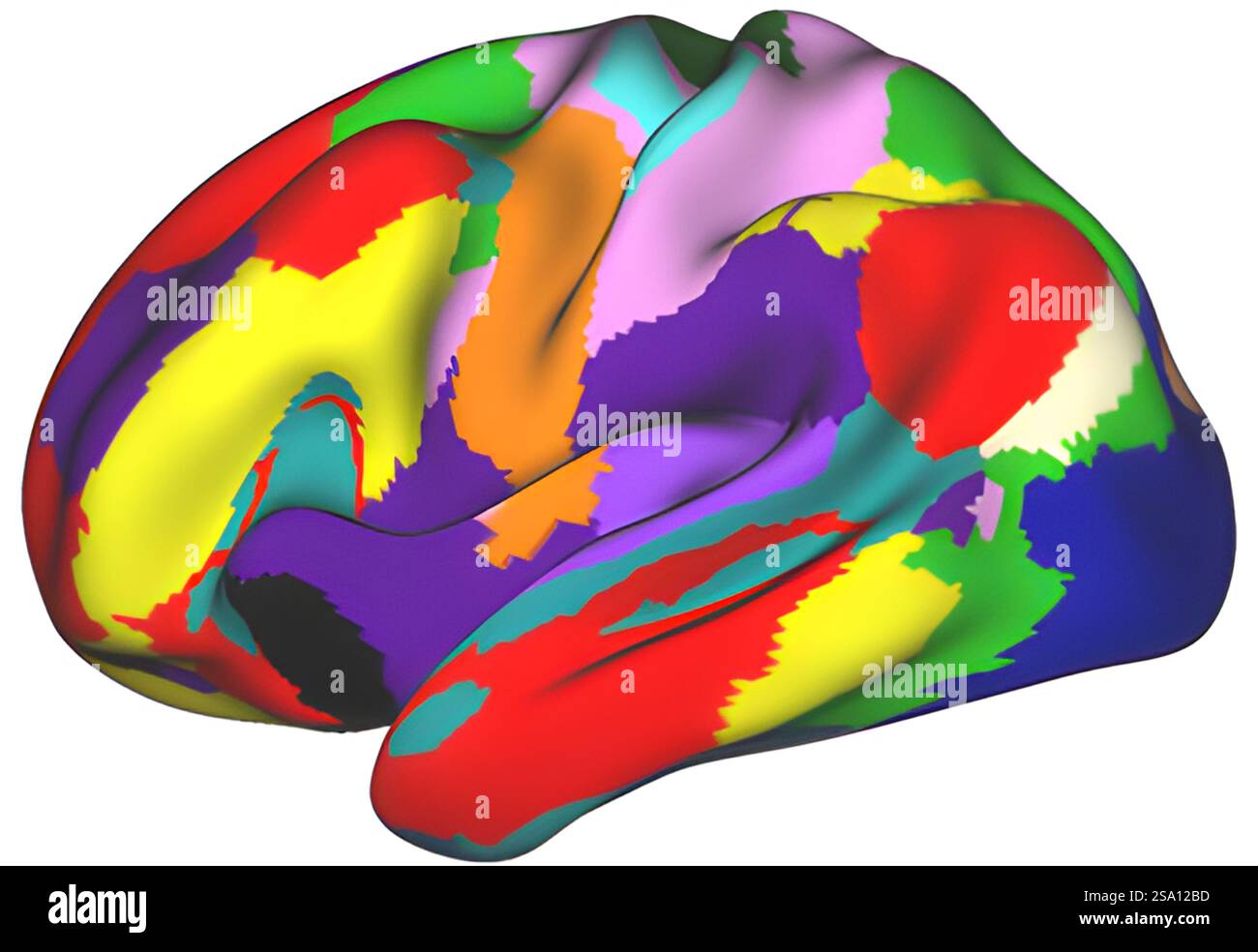 NIH has renewed its commitment to the Adolescent Brain Cognitive ...