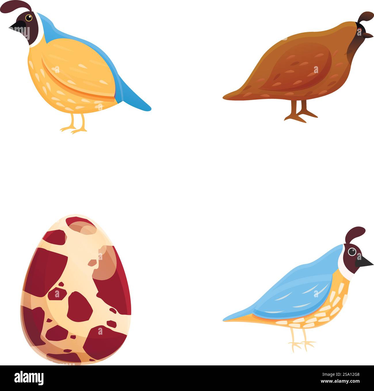 Partridge bird icons set cartoon vector. Variegated wild bird ...