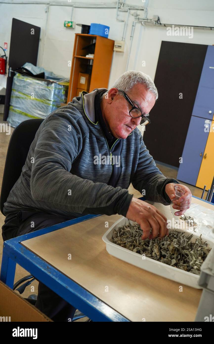 Disabled worker working in the ESAT product packaging workshop ...