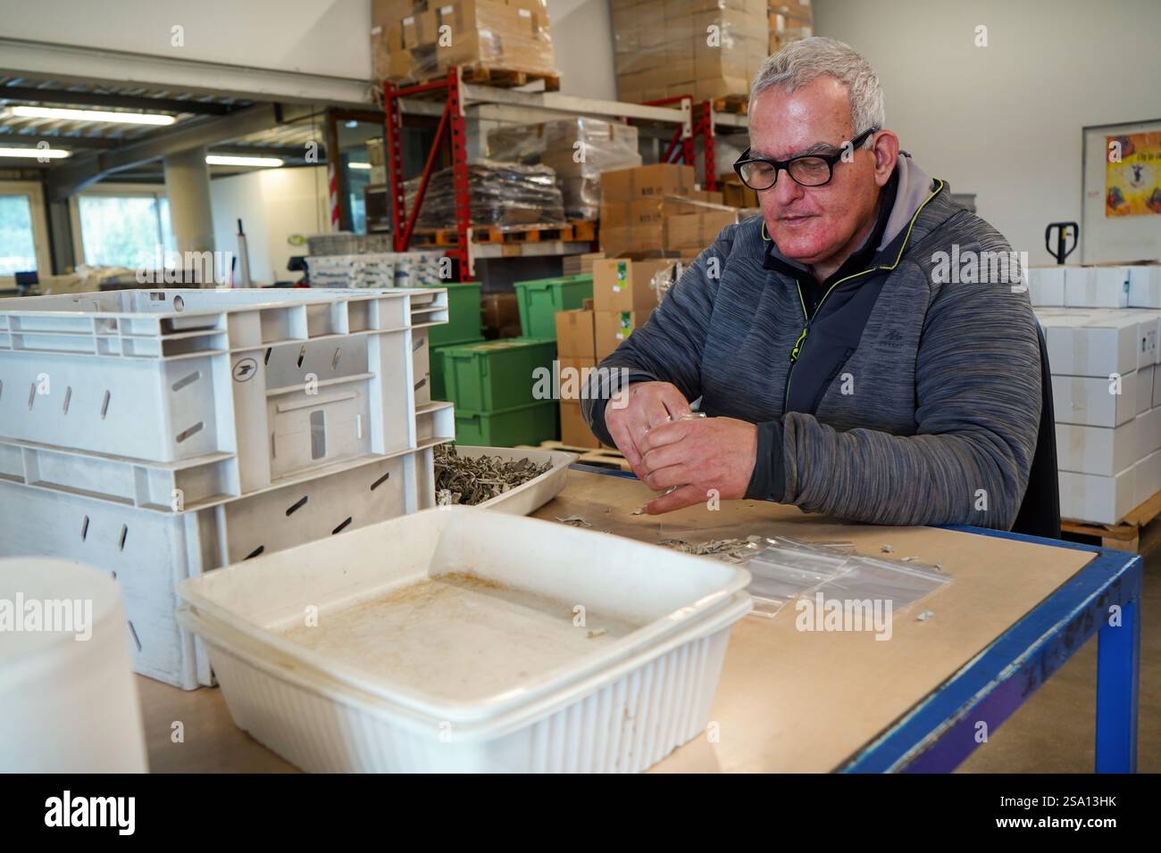 Disabled worker working in the ESAT product packaging workshop ...