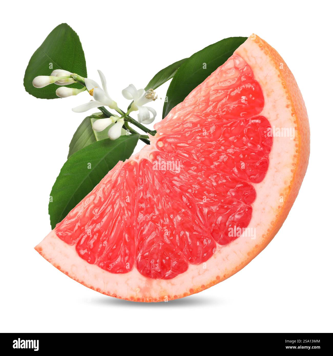 Juicy grapefruit slice and citrus plant branch isolated on white Stock ...