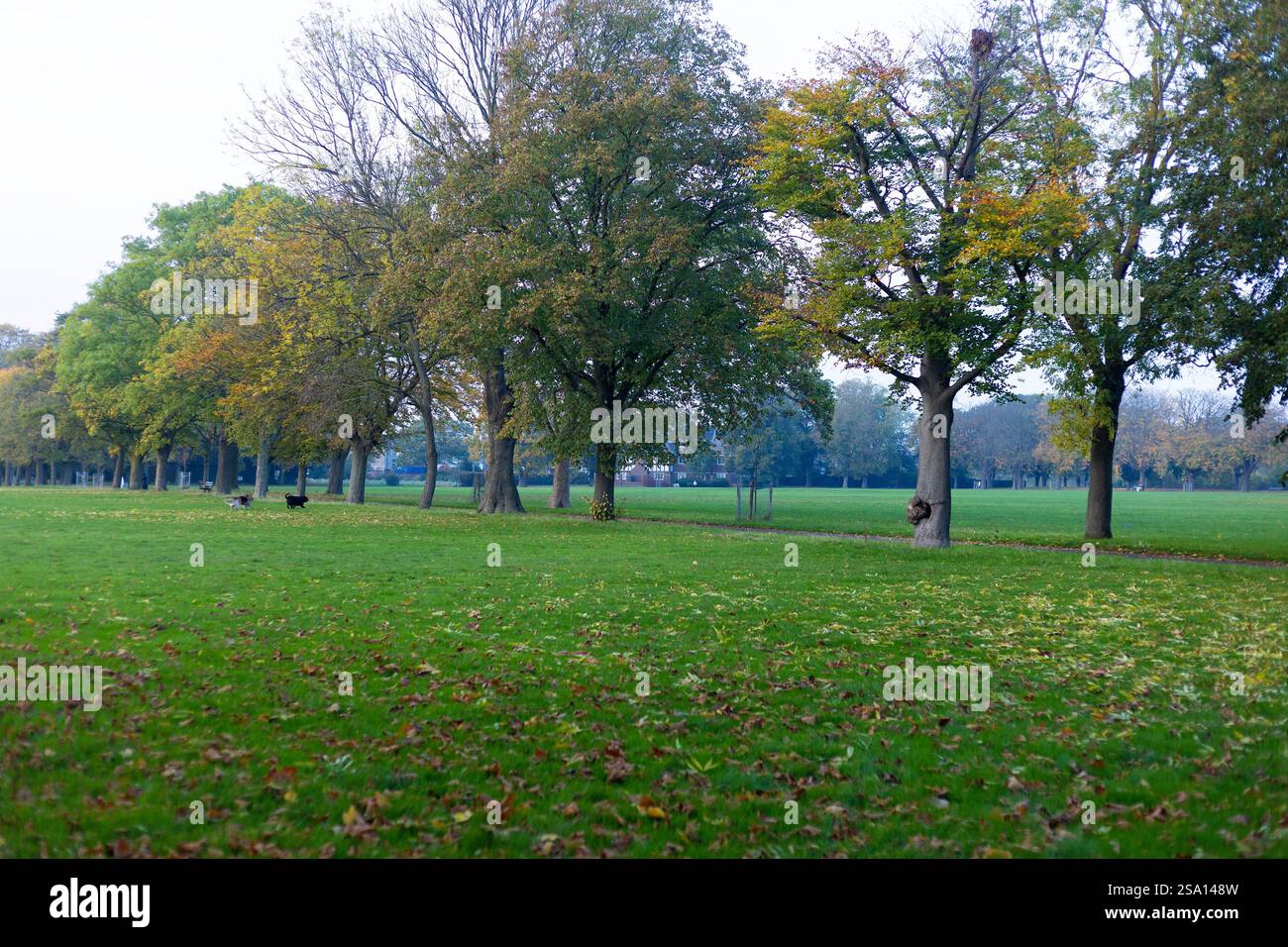 Ilford, east London Stock Photo - Alamy