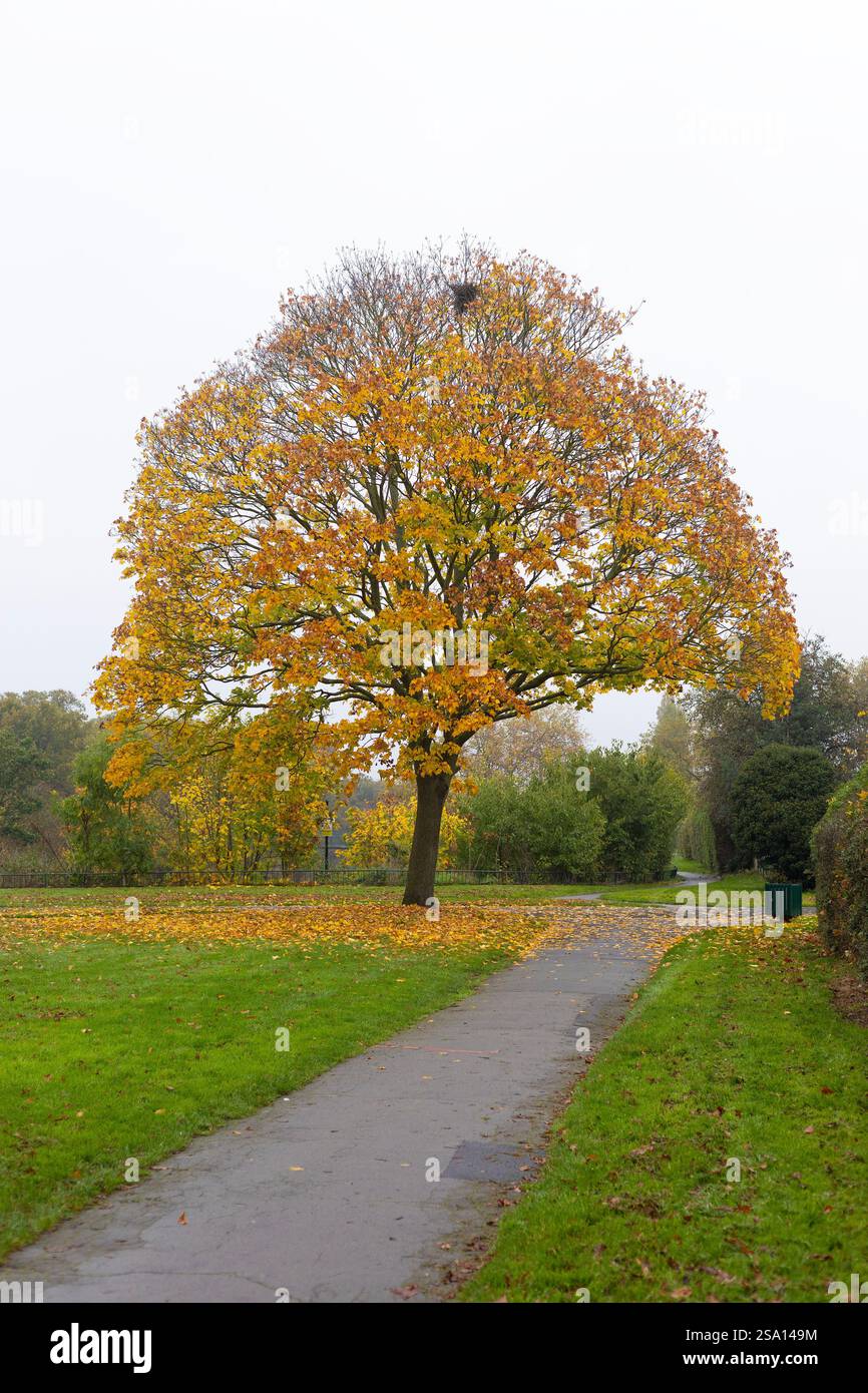 Ilford, east London Stock Photo - Alamy